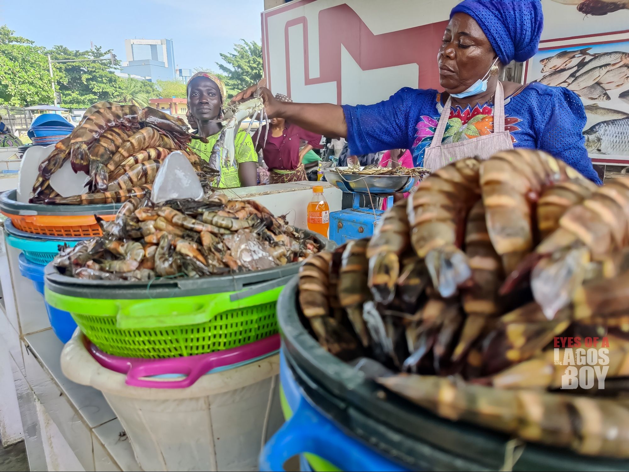 Photo of the Week: Falomo under bridge Fish Market - Eyes of a Lagos Boy